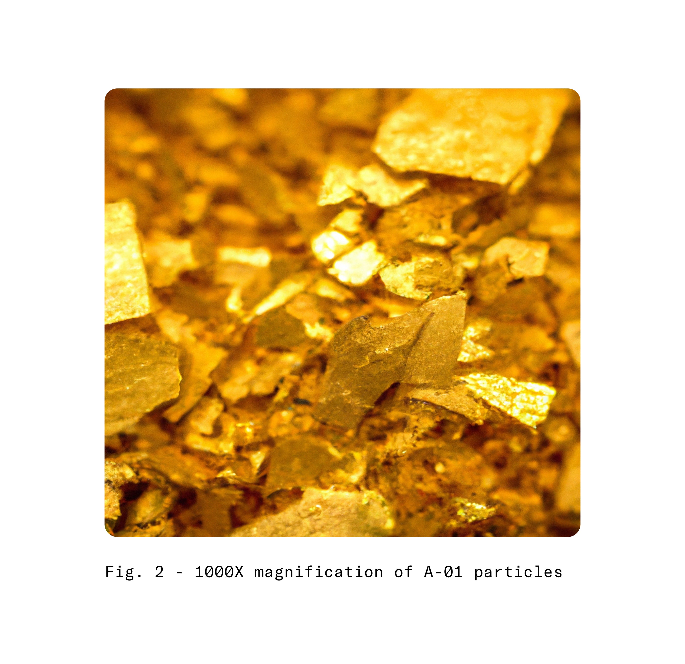 How Does the Afina A-01 Filtered Shower Head Work?